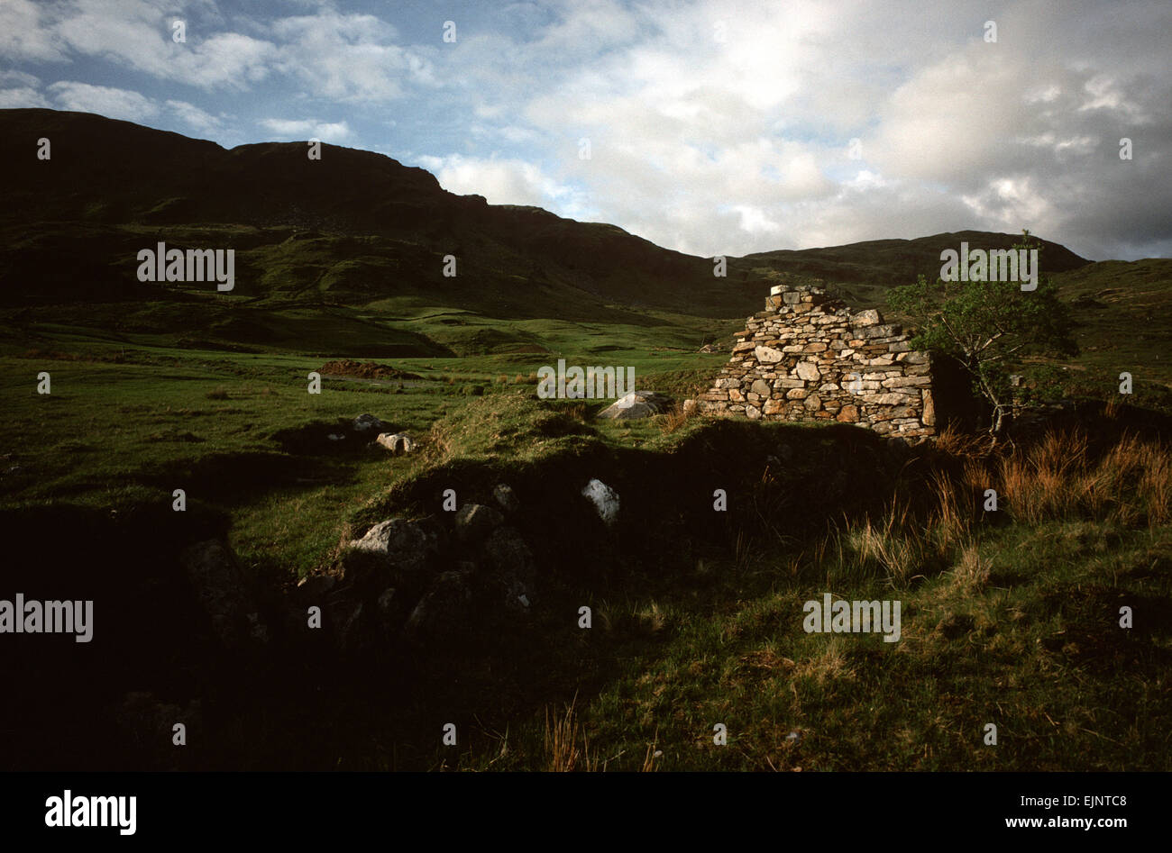 Abandoned farmhouse in the Blue Stack Mountains, Donegal, Ireland Stock ...