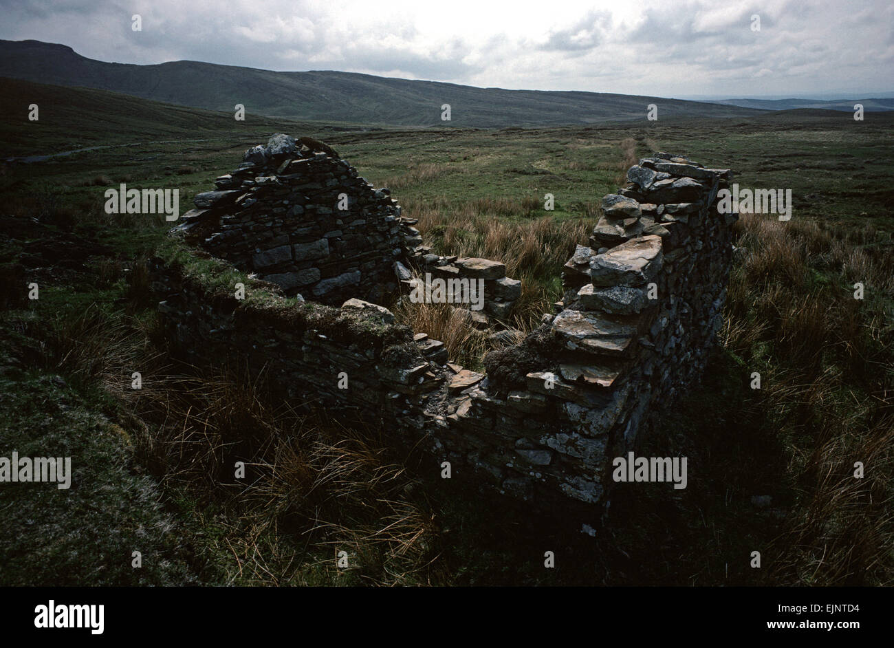 Abandoned ruined cottage in the Blue Stack Mountains, Donegal, Ireland ...