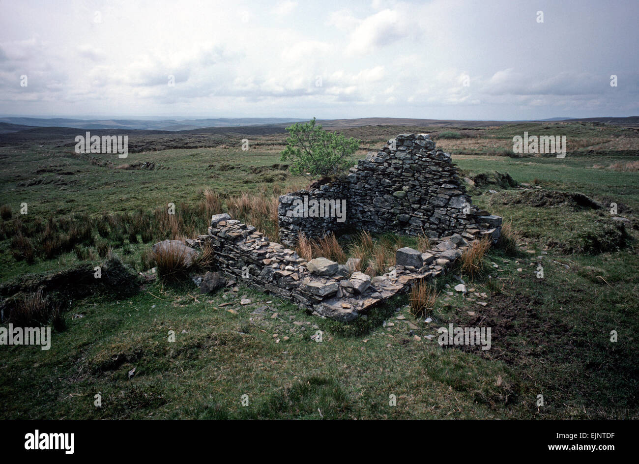 Abandoned ruined cottage in the Blue Stack Mountains, Donegal, Ireland ...