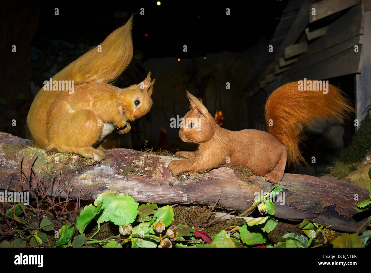 The World of Beatrix Potter attraction Stock Photo - Alamy