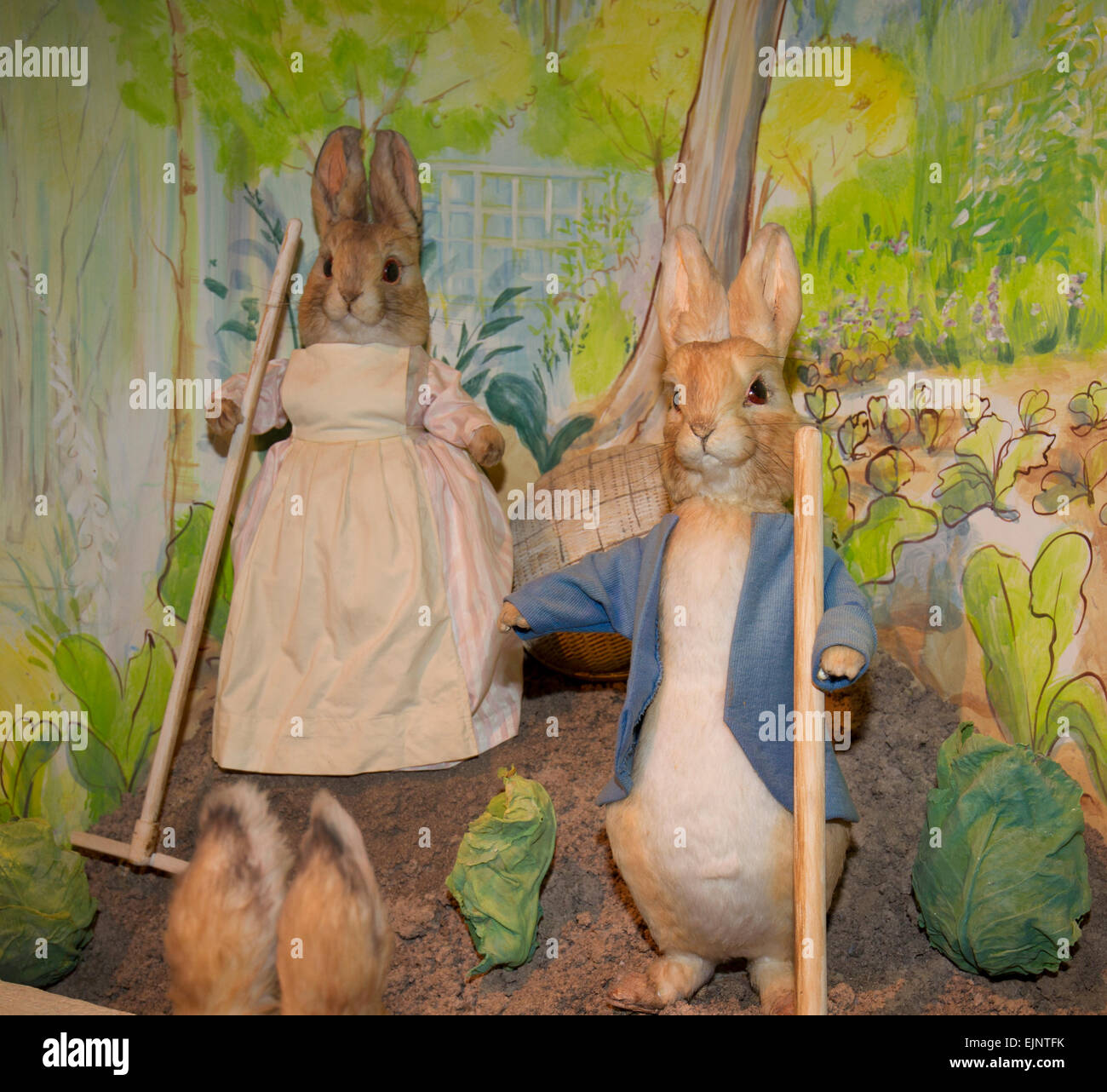 Peter rabbit hi-res stock photography and images - Alamy