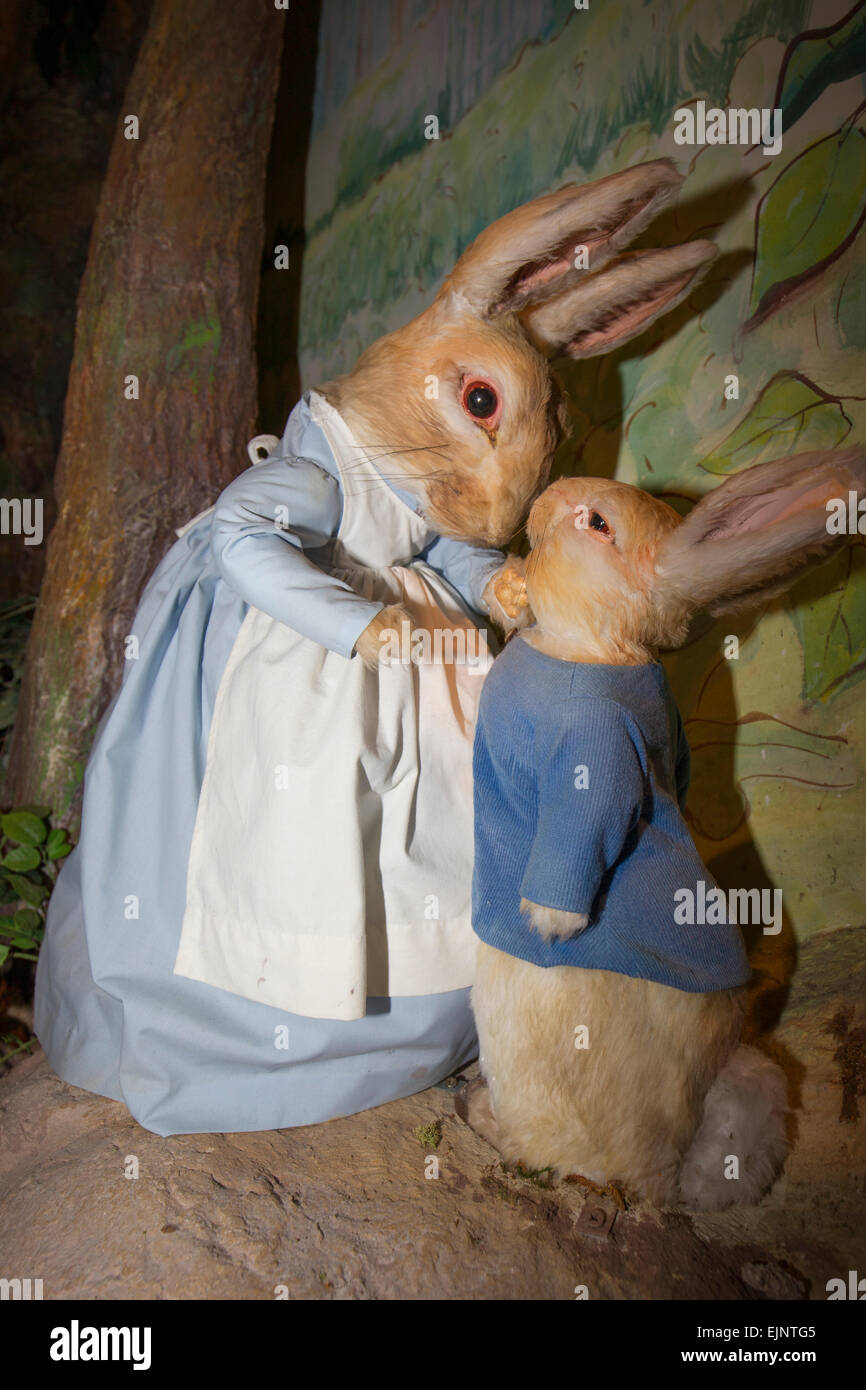 Beatrix potter characters hi-res stock photography and images - Alamy