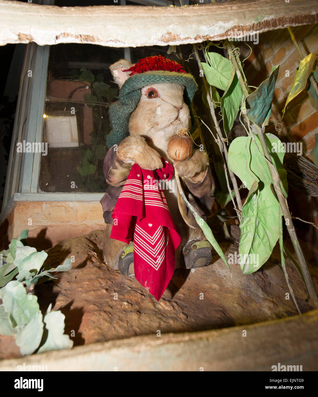 The World of Beatrix Potter attraction Stock Photo - Alamy
