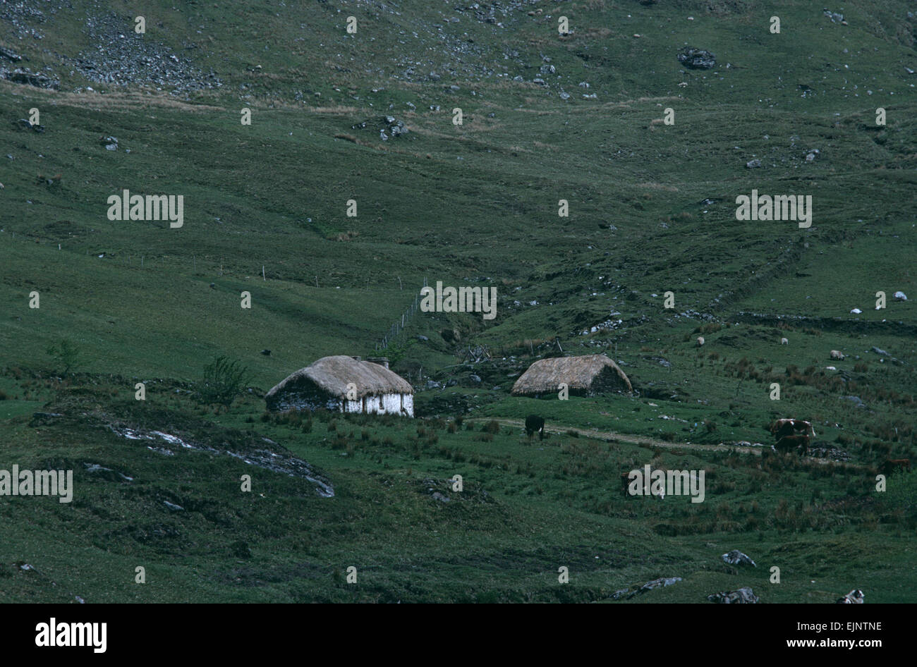 Blue Stack Mountains thatched cottage, Donegal, Ireland Stock Photo - Alamy