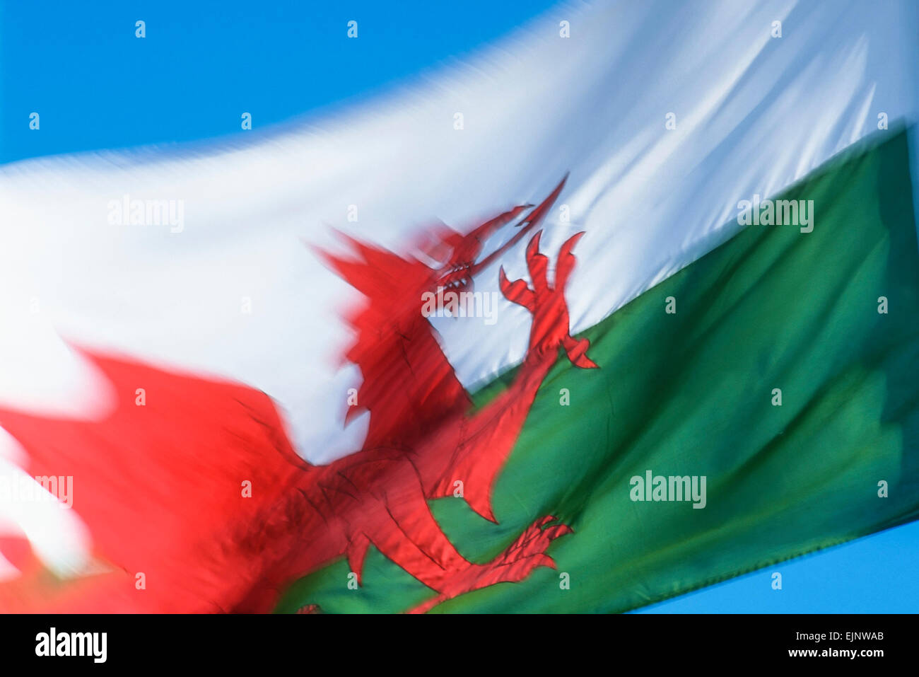 Welsh dragon flag hi-res stock photography and images - Alamy