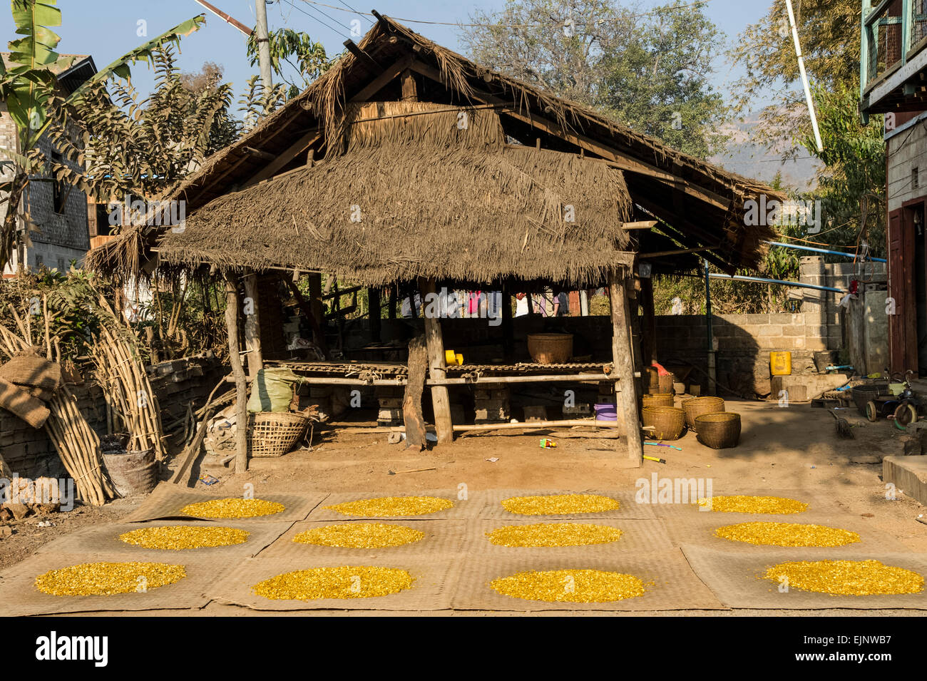 Drying nuts hi-res stock photography and images - Alamy