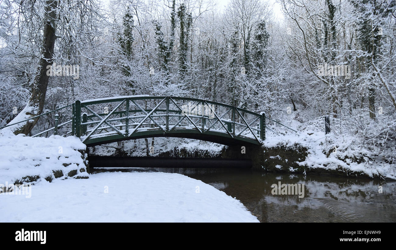Winter in Castle Eden Dene County Durham Stock Photo - Alamy