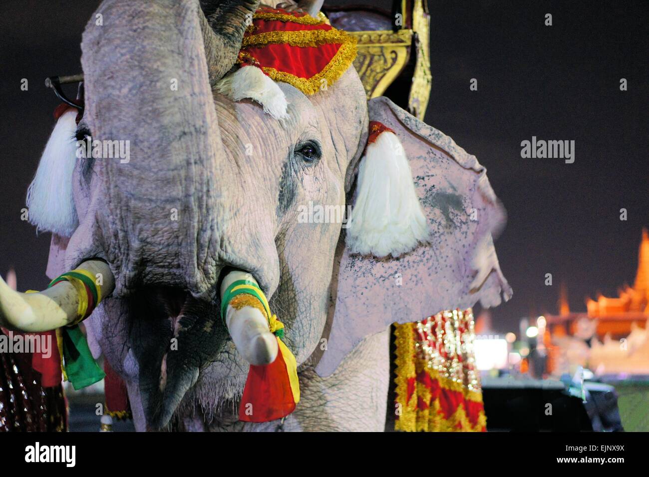 White elephant at Grand Palace, Bangkok, Thailand Stock Photo - Alamy