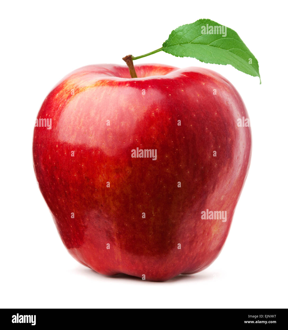 Shiny green apple leaf hi-res stock photography and images - Alamy