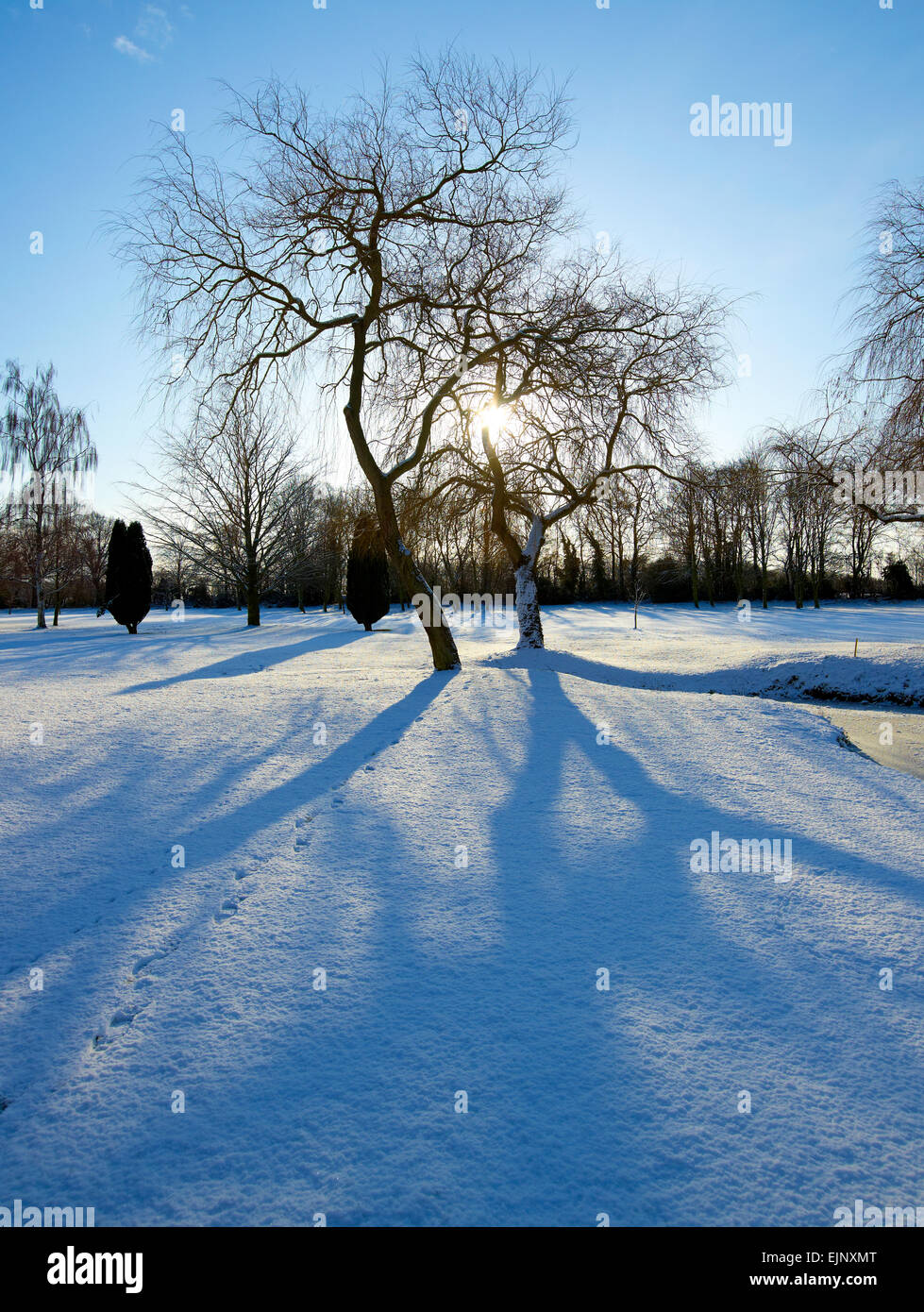 frozen pond portrait Stock Photo - Alamy