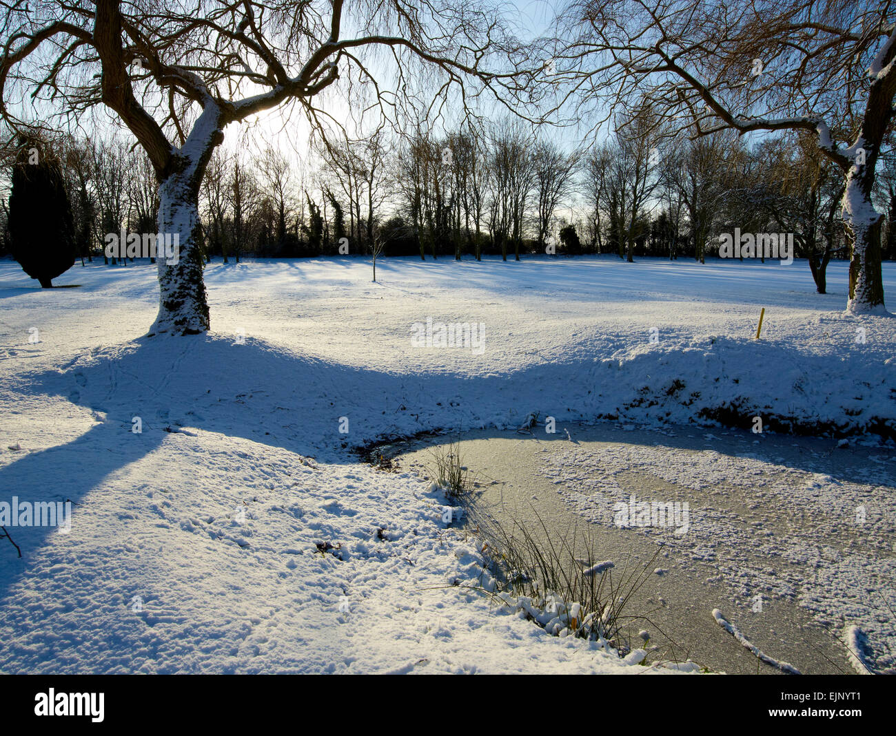 frozen pond landscape Stock Photo - Alamy