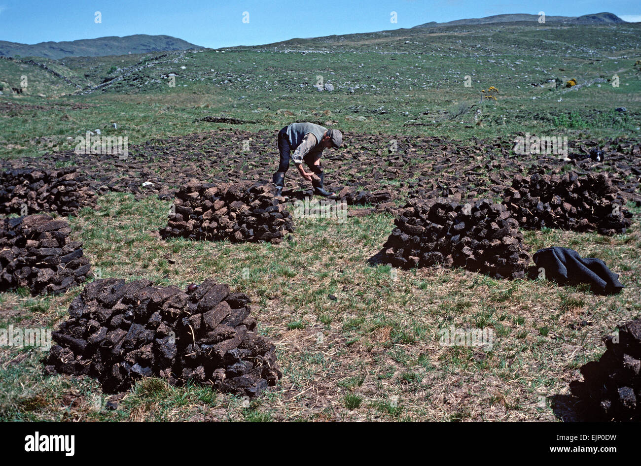 Blue Stack Mountains, farmer placing peat into piles to dry, Donegal ...