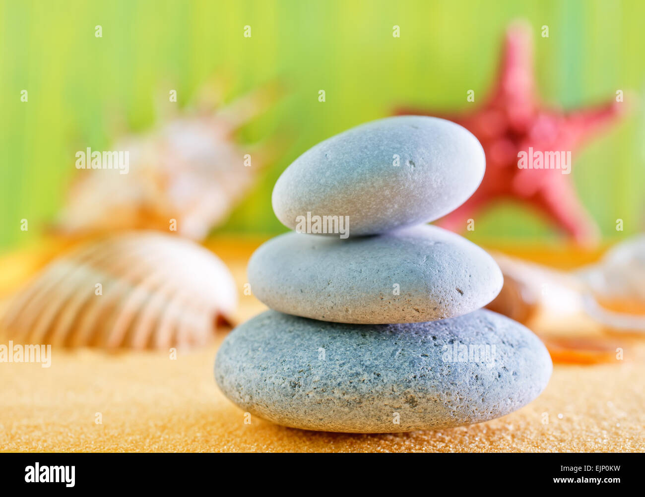 Coral reef shells stones hi-res stock photography and images - Alamy
