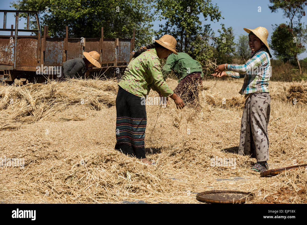 Scenes of rural Myanmar people at work Stock Photo - Alamy