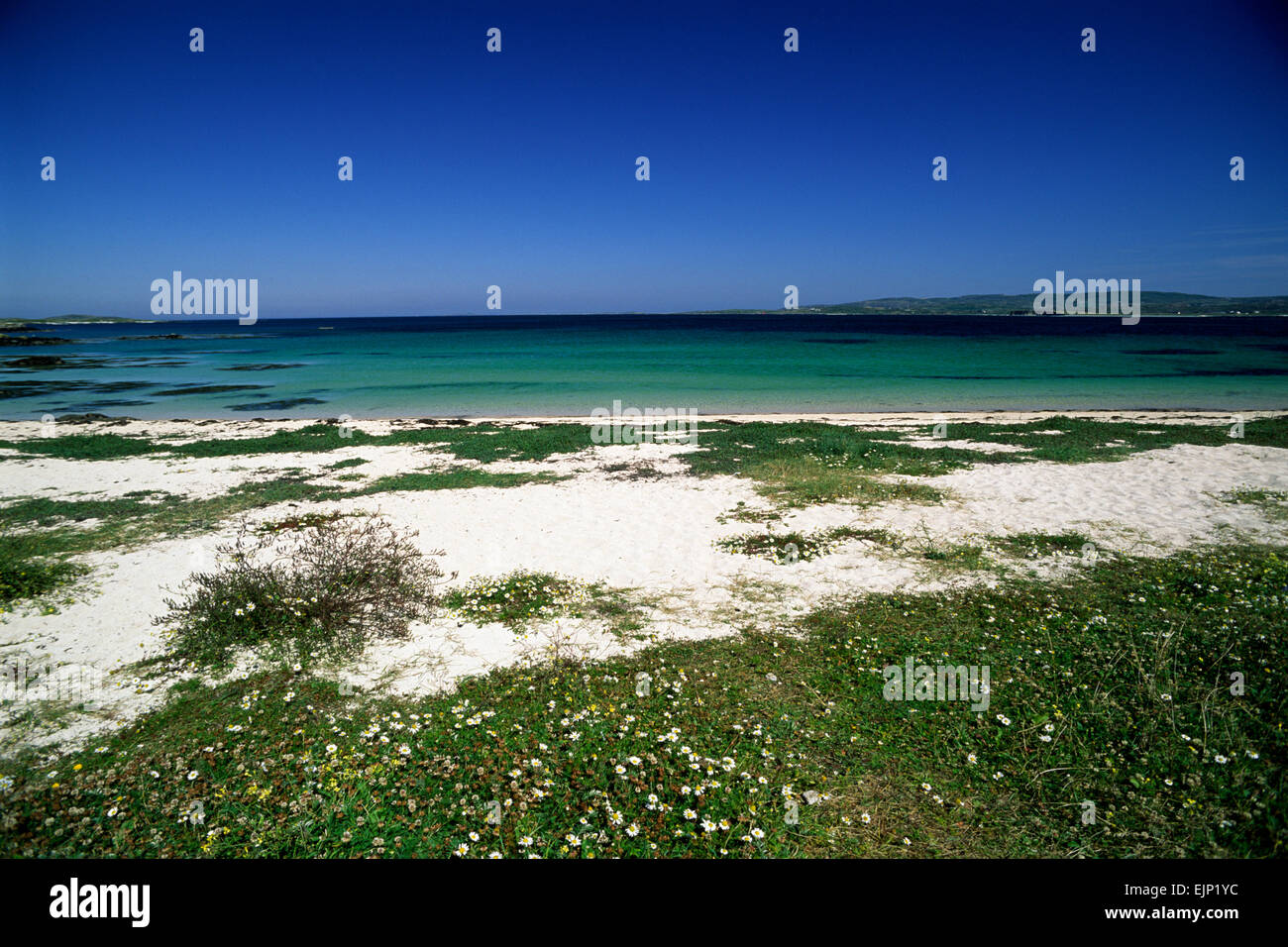 Ireland, County Galway, Connemara, Clifden beach Stock Photo - Alamy