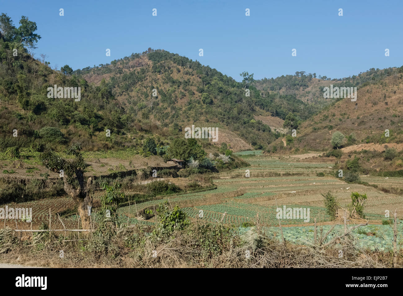 Scenes of rural Myanmar Stock Photo - Alamy