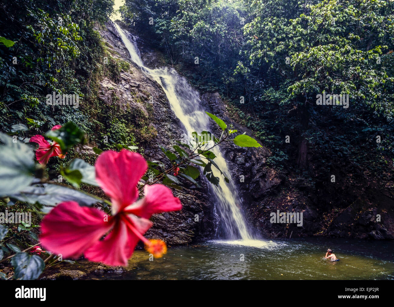 The Biausevu waterfall (also known as Savu Na Mate Laya Falls) near ...