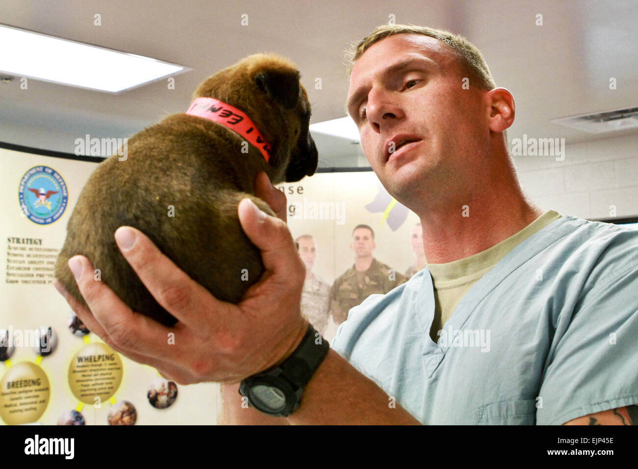 Army Sgt. 1st Class Russell Minta, senior noncommissioned officer for ...