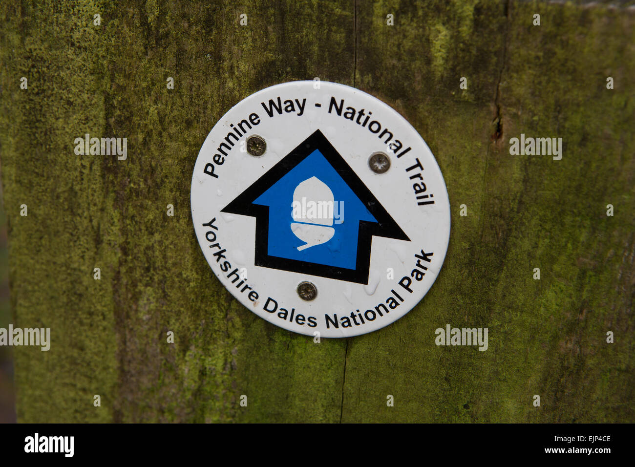 Pennine Way signs in the Yorkshire Dales Stock Photo - Alamy