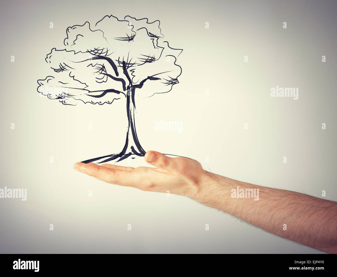man with small tree in his hand Stock Photo - Alamy