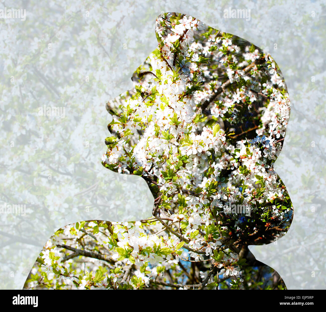 young woman face over blooming tree pattern Stock Photo - Alamy