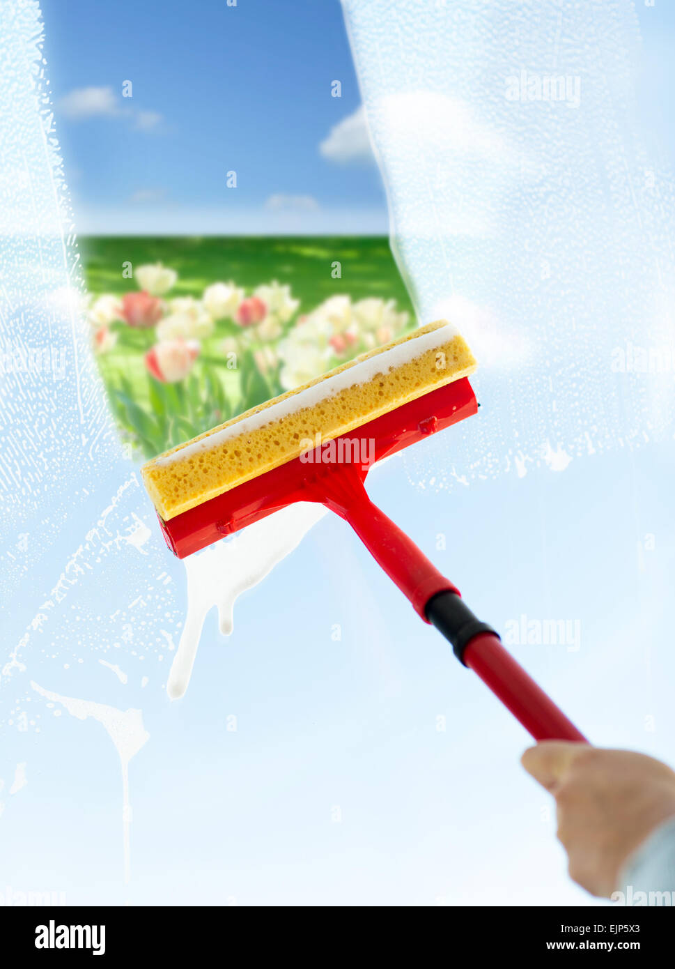 close up of hand cleaning window with sponge Stock Photo - Alamy