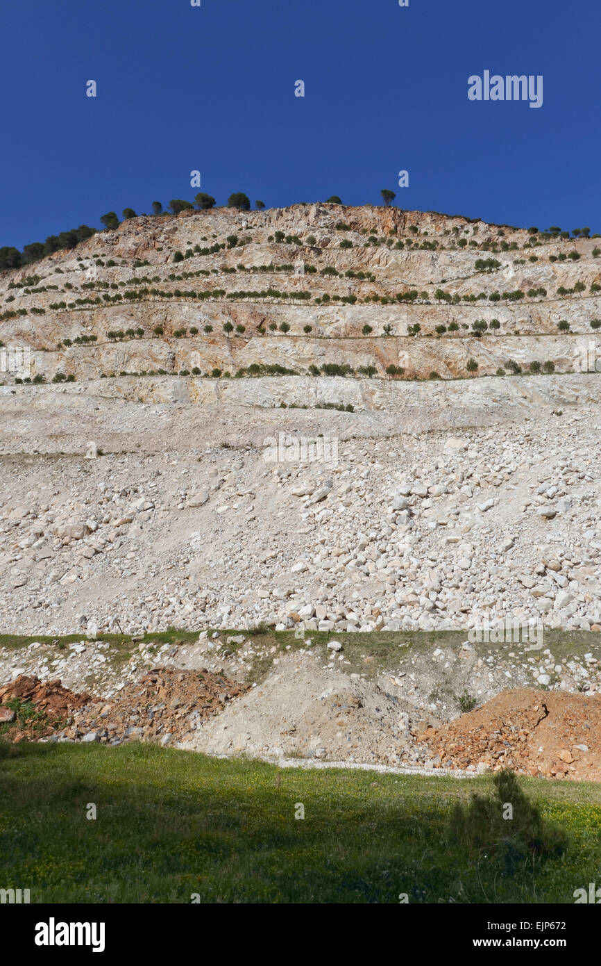 Reforestation in sealed Sand and gravel, dolomite quarry, excavation ...