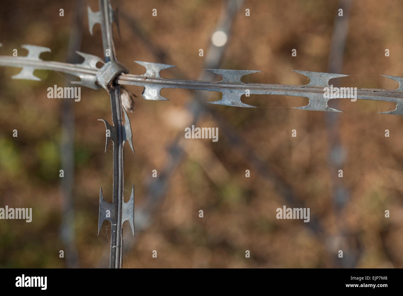 Razor Wire. Security fencing Stock Photo - Alamy
