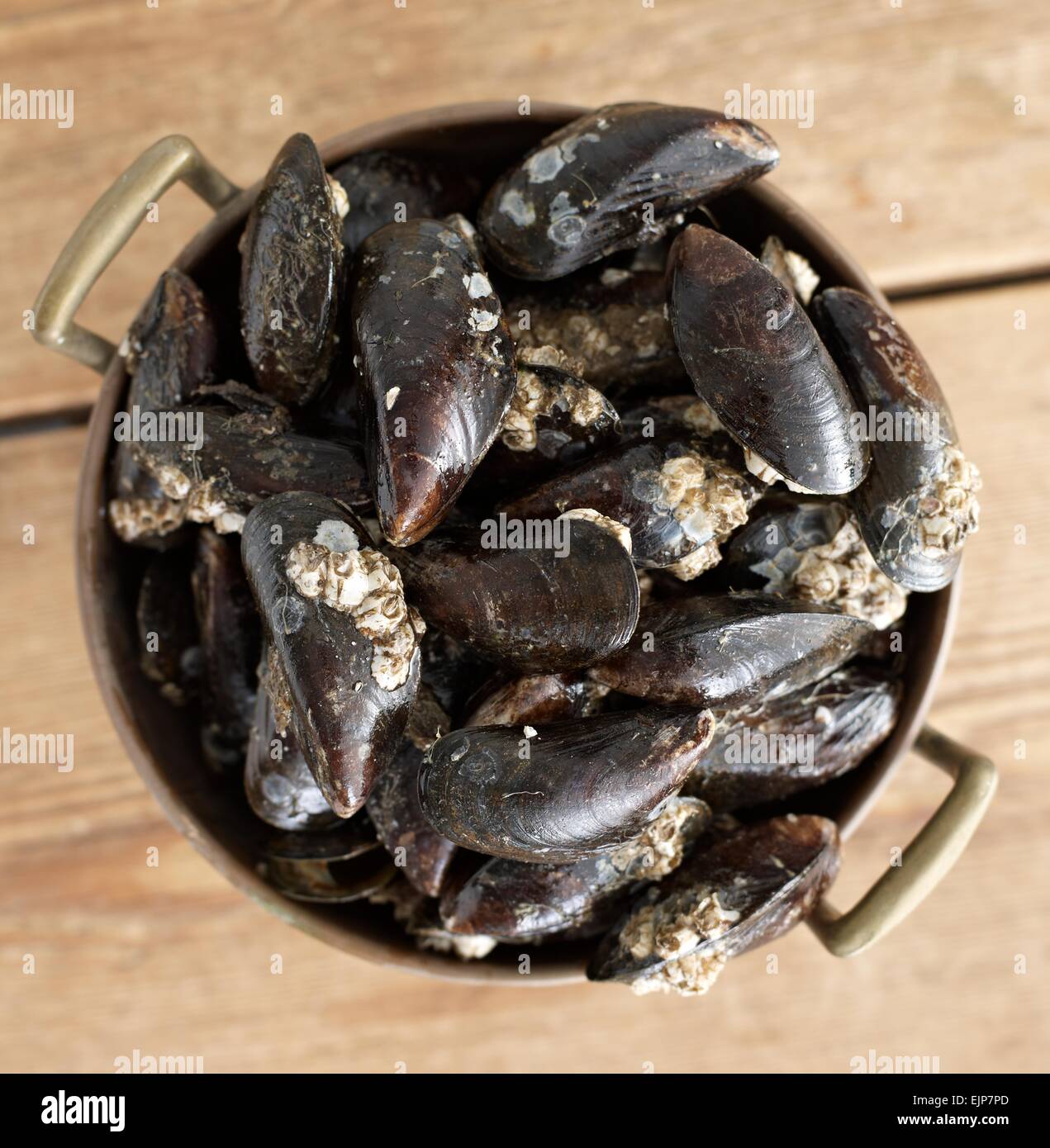 Chilled mussels hi-res stock photography and images - Alamy