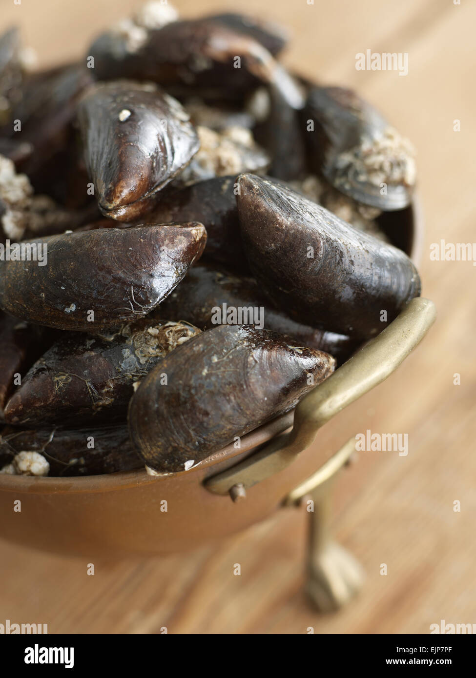 Chilled mussels hi-res stock photography and images - Alamy