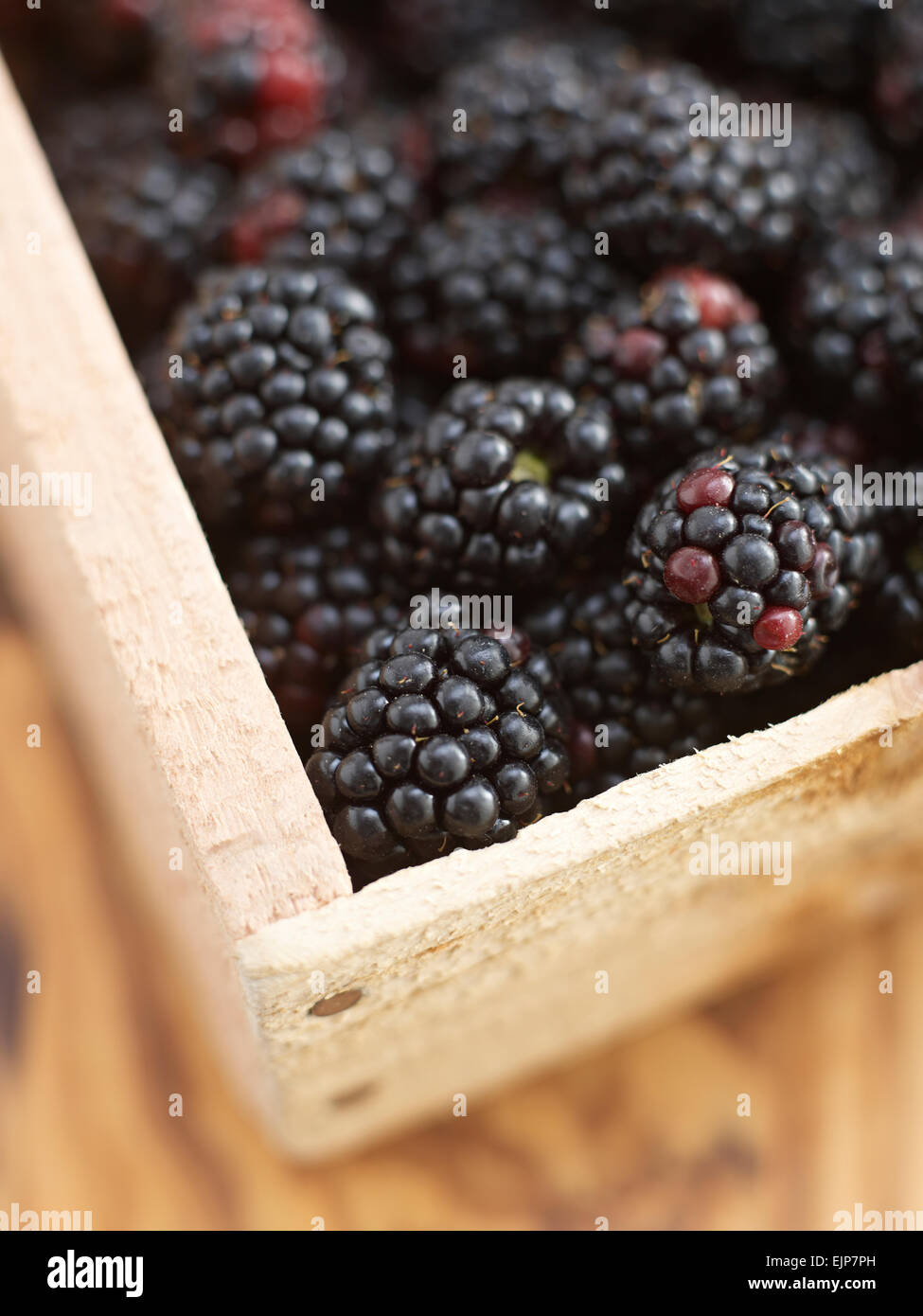 box of blackberries Stock Photo - Alamy