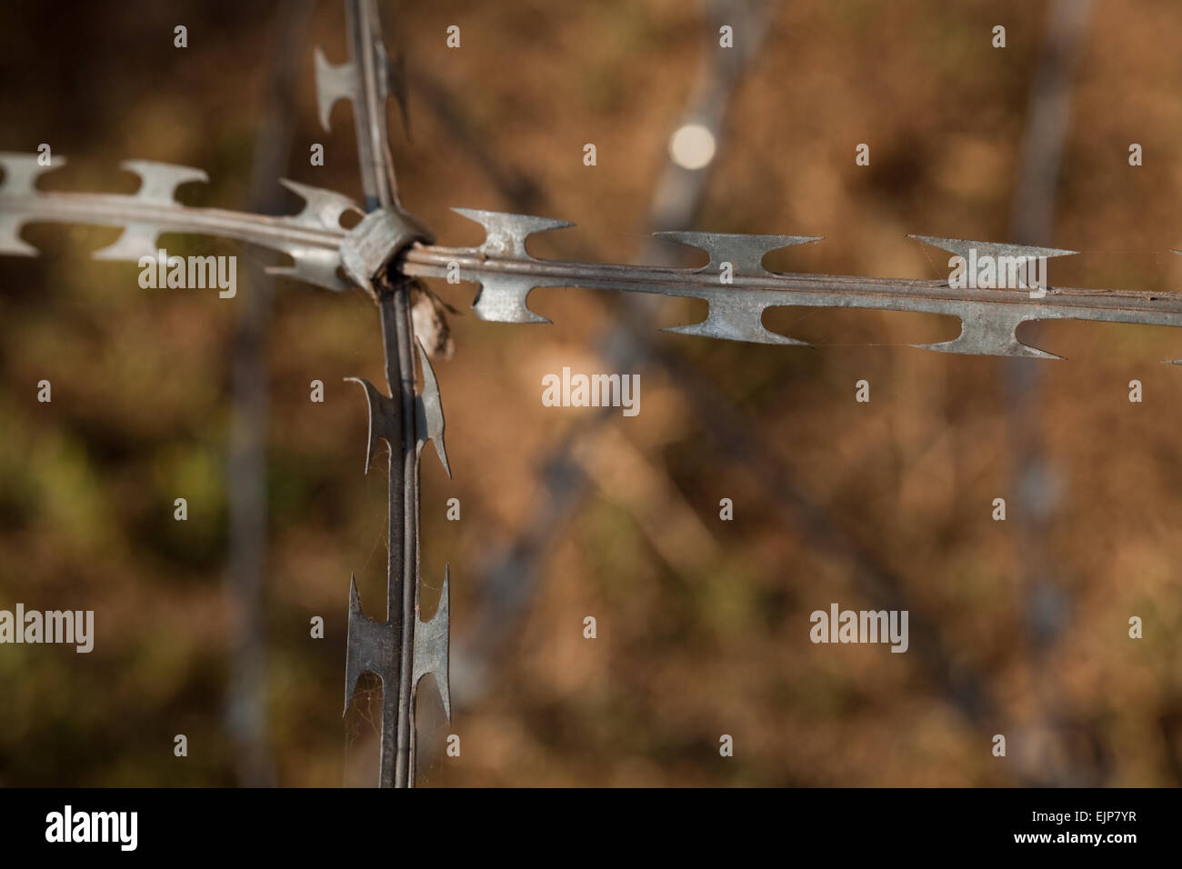 Razor Wire. Security fencing Stock Photo - Alamy