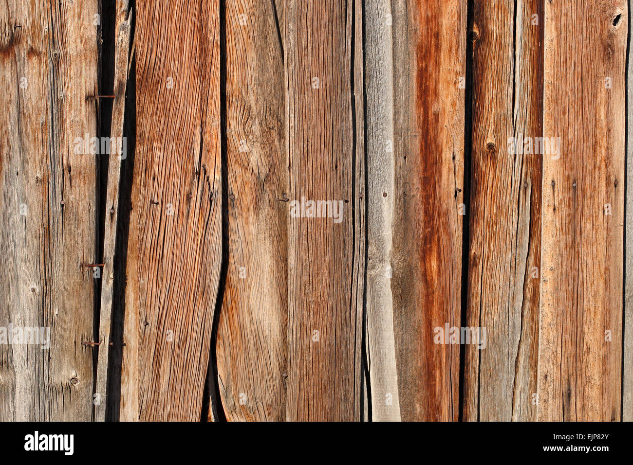 Weathered distressed rustic barn wood as textured background Stock ...