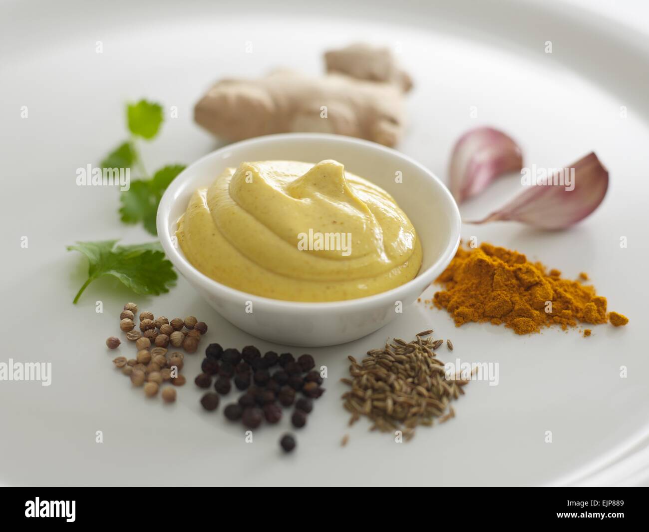 Mayo indian hi-res stock photography and images - Alamy