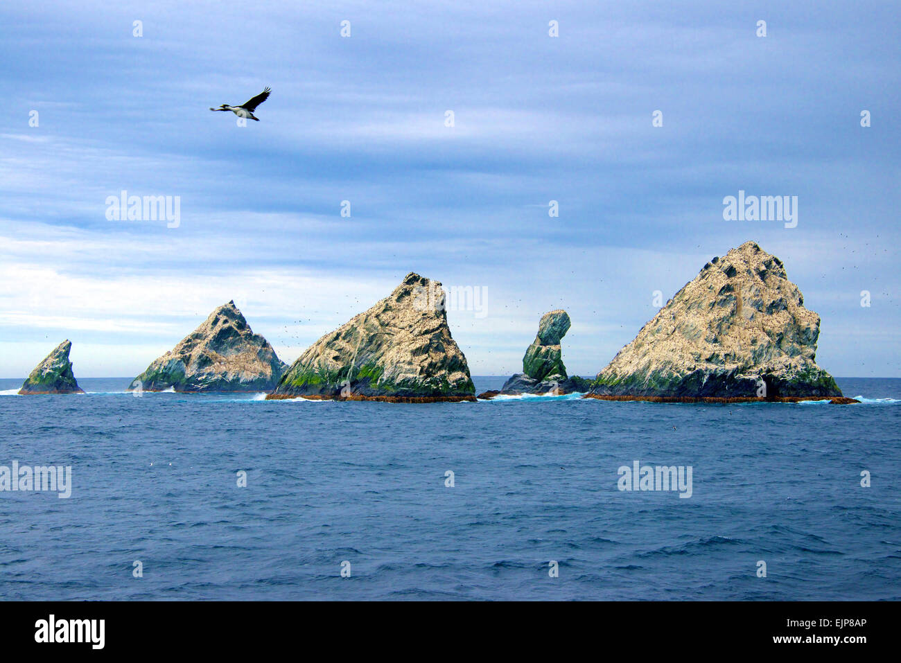 Shag rocks hi-res stock photography and images - Alamy