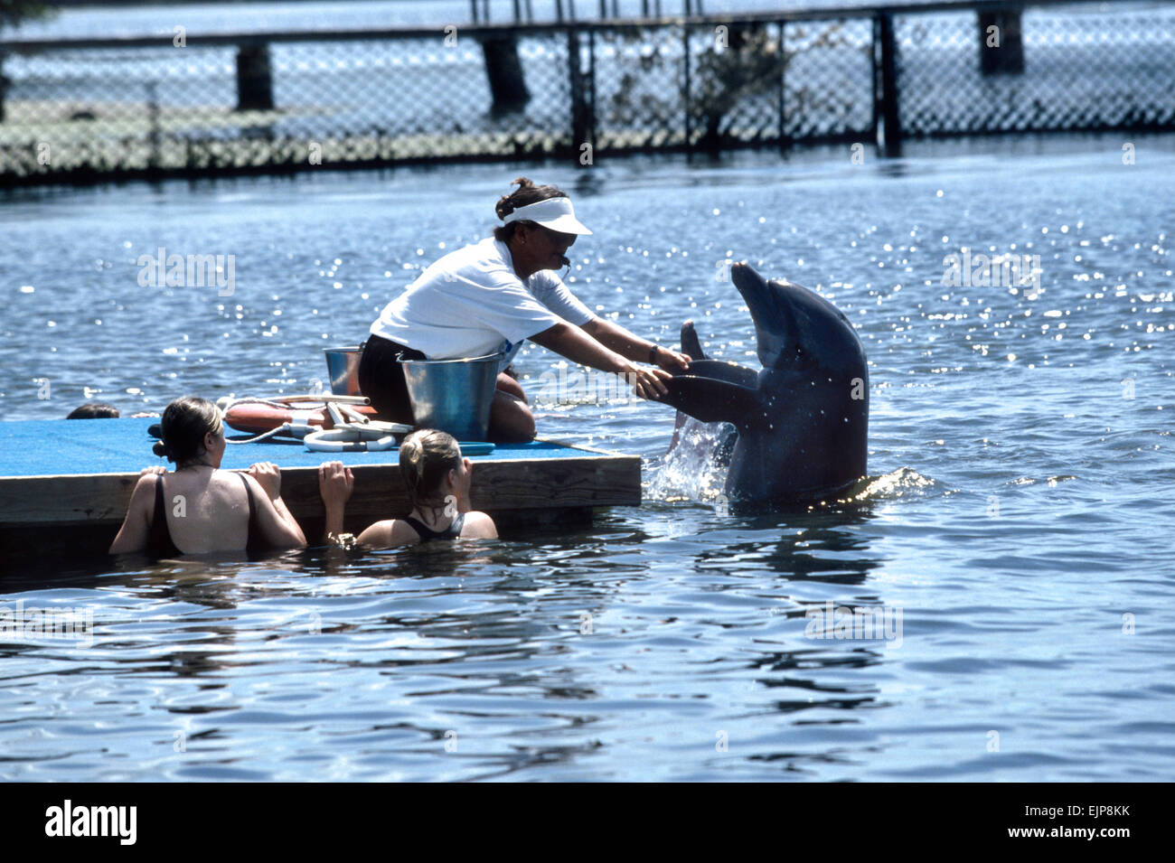 Dolphin research center marathon hi-res stock photography and images ...