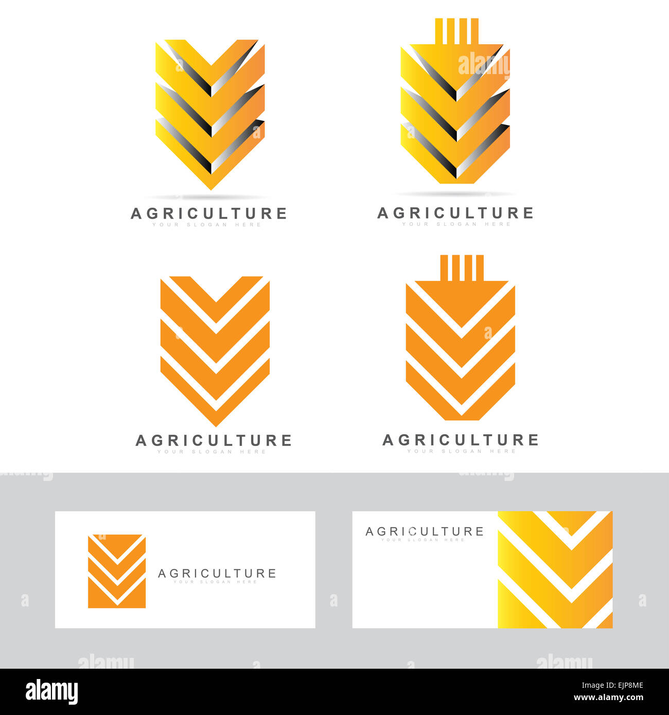 Vector logo design template of a wheat symbol for agriculture products ...