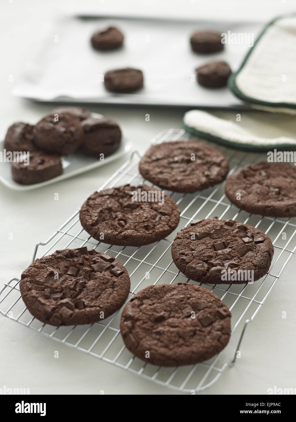 Choc biscuit cooling on tray hi-res stock photography and images - Alamy