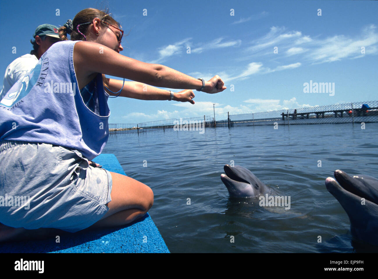 Trainer signals dolphin hi-res stock photography and images - Alamy