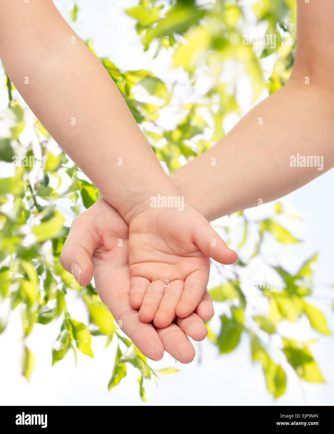 Hands cupped together hi-res stock photography and images - Alamy