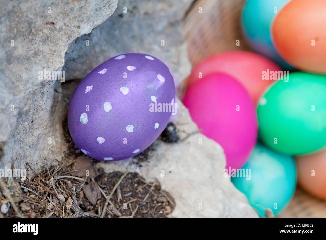 Placing the first egg in a hiding place under a rock for Easter egg ...