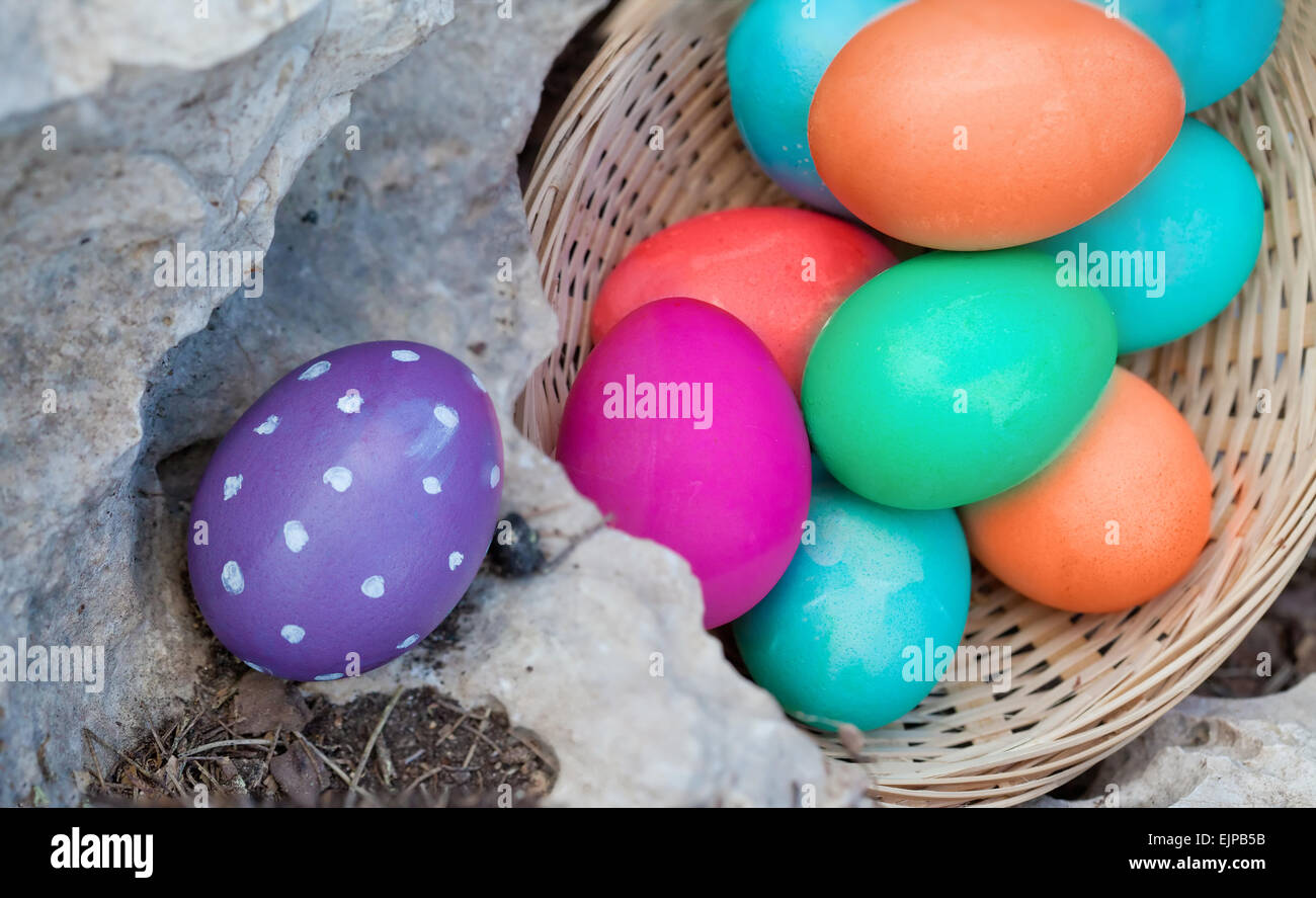 Hunt gathering hi-res stock photography and images - Alamy