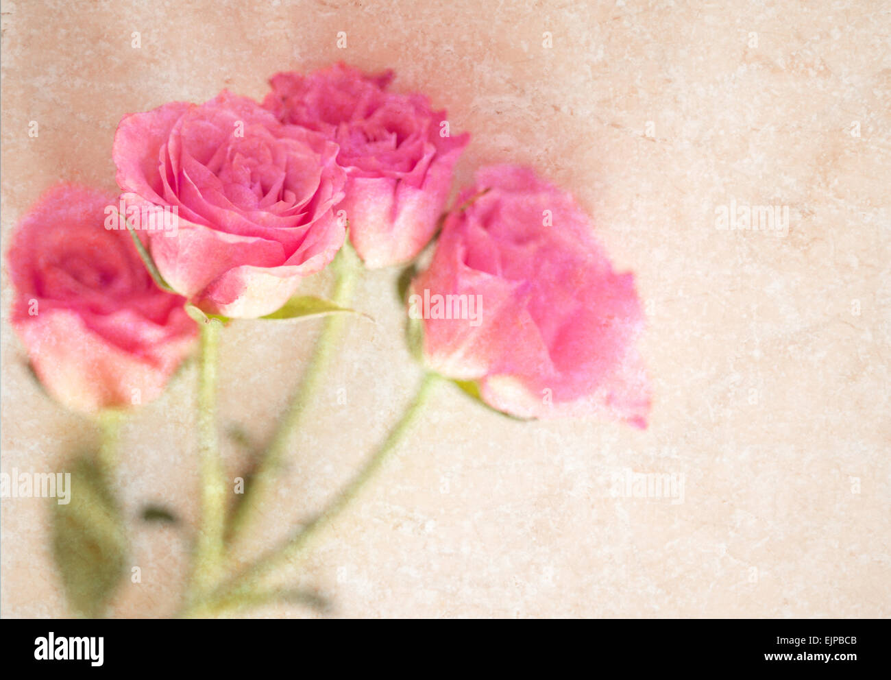 Pink Rose Marble Stone Natural Background Collage Stock Photo - Alamy