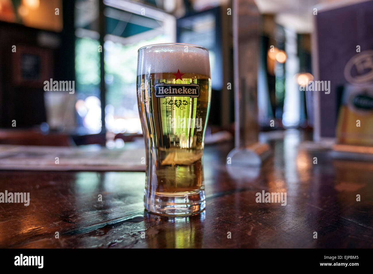 Heineken pint in a bar in Rotterdam, Netherlands Stock Photo - Alamy