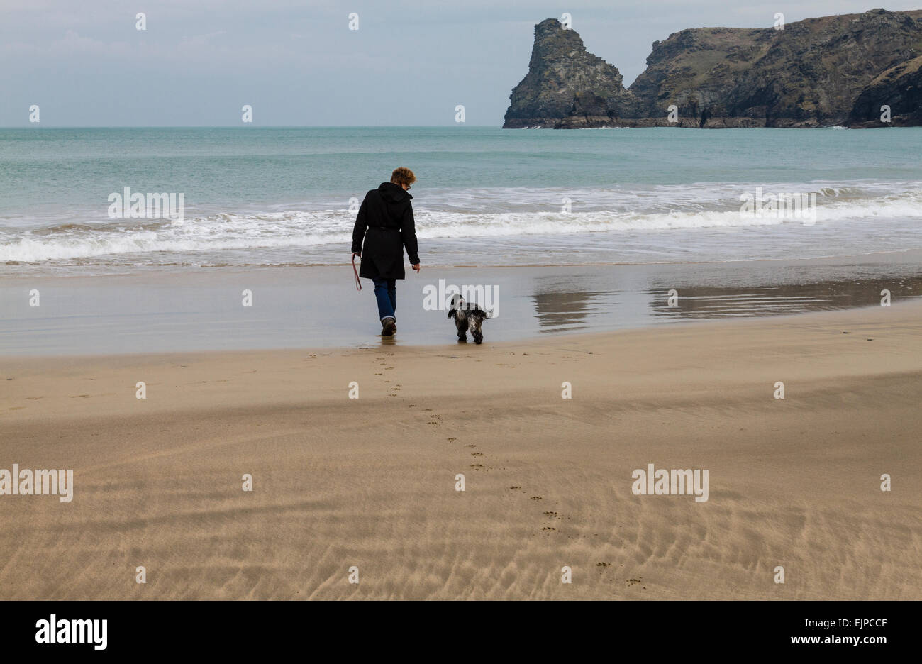 The sandy beach at Bossiney Haven near Tintagel is perfect for a walk ...