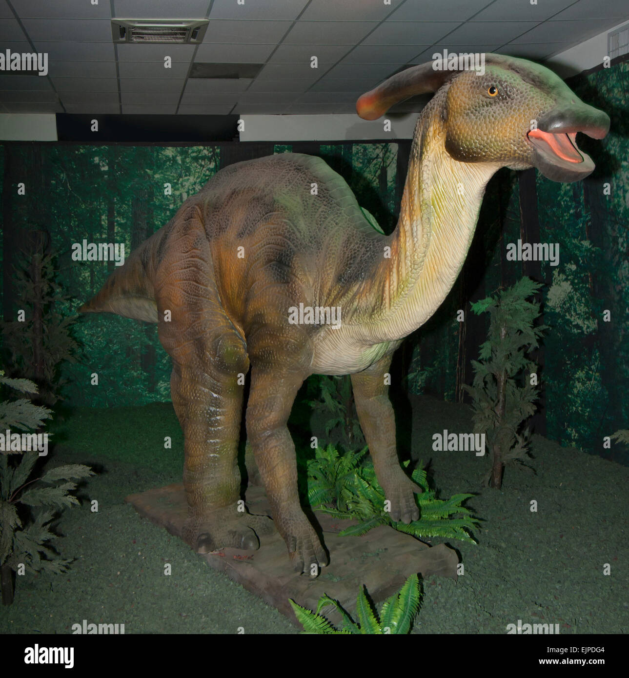 Ornithopoda dinosaur hi-res stock photography and images - Alamy
