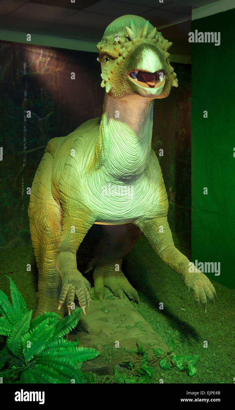 The dinosaur exhibit.Europe.Ukraine.Kharkov.(Pachycephalosauridae Stock ...