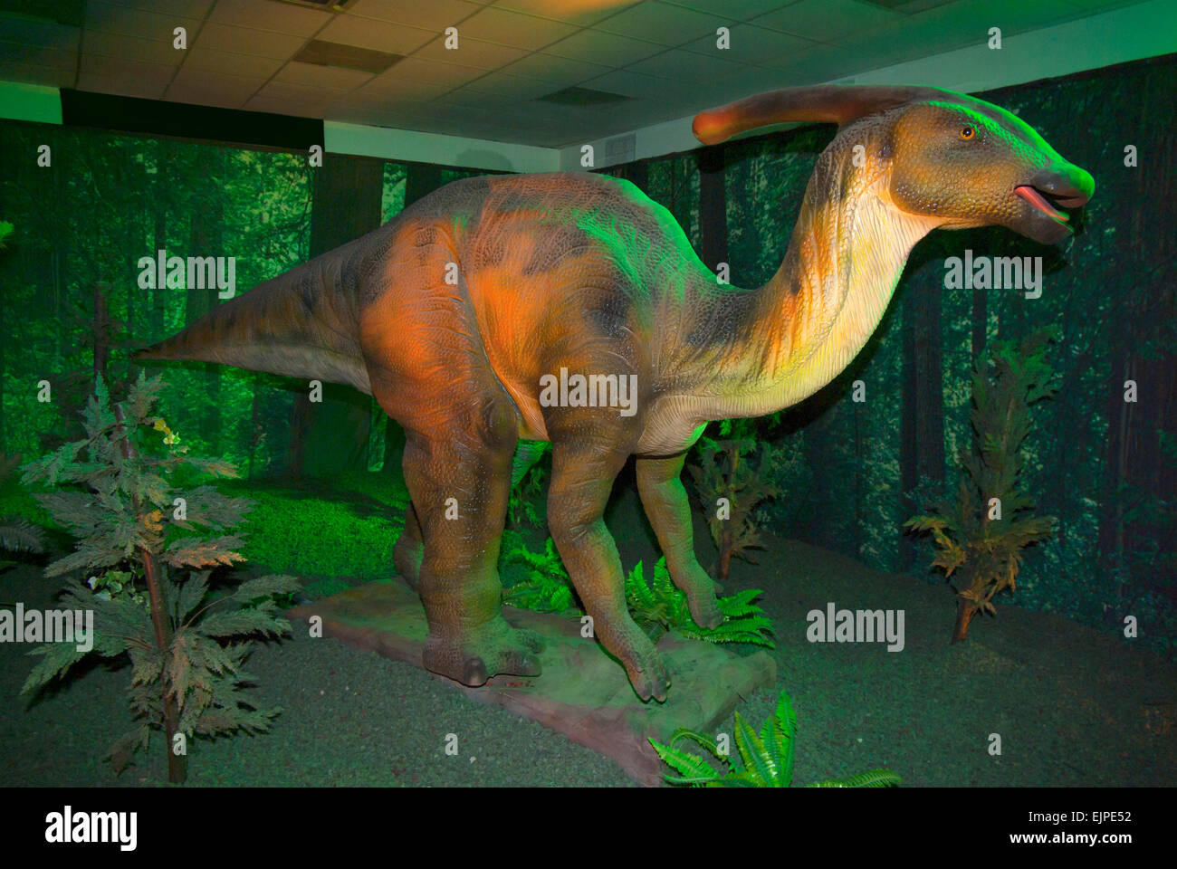 Ornithopoda hi-res stock photography and images - Alamy