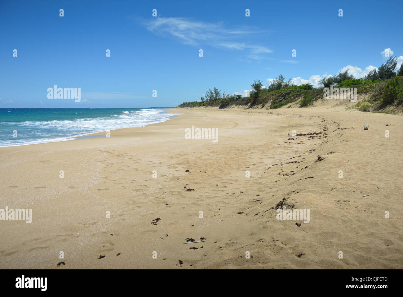 Barceloneta coast, Puerto Rico. US territory. Caribbean Island Stock ...