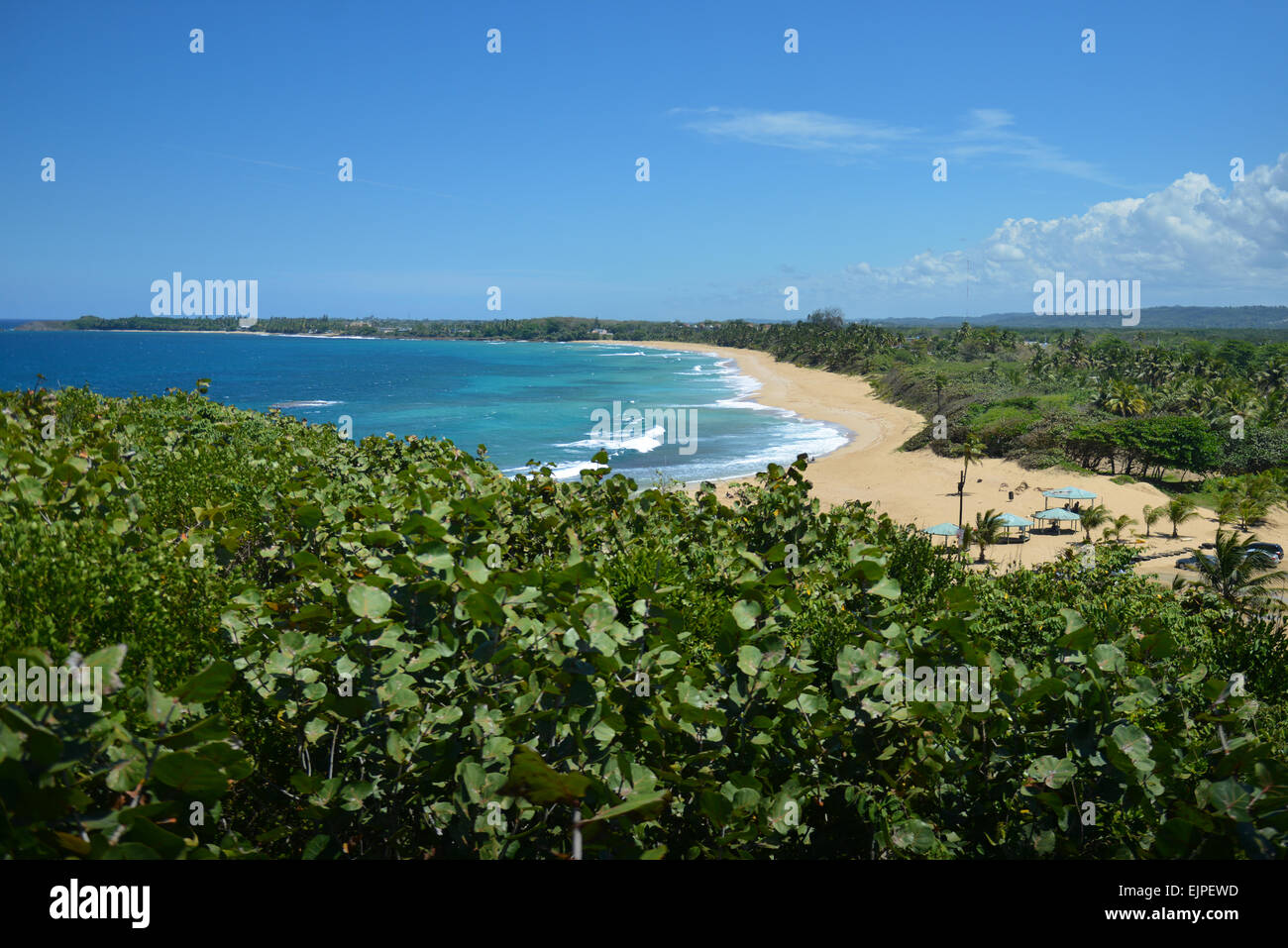 Arecibo puerto rico hi-res stock photography and images - Alamy